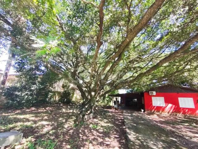 Terreno / Lote para Venda em Sapiranga/RS Centenário