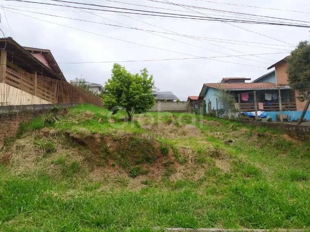Terreno / Lote para Venda em Sapiranga/RS Centenário
