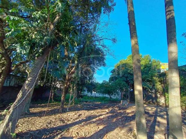 Terreno / Lote para Venda em Sapiranga/RS Centro