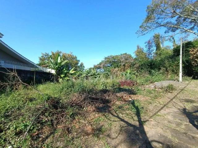 Terreno / Lote para Venda em Sapiranga/RS Centro
