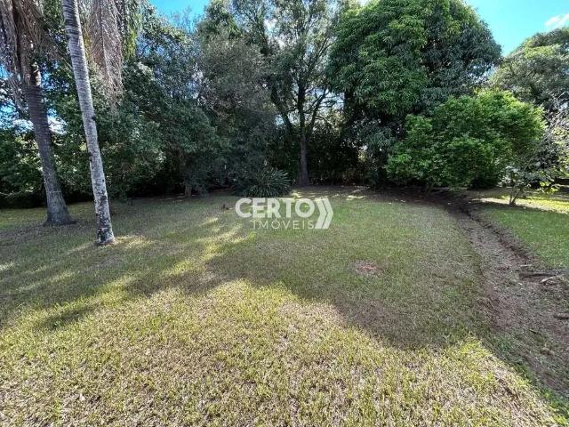 Terreno / Lote para Venda em Sapiranga/RS Centro