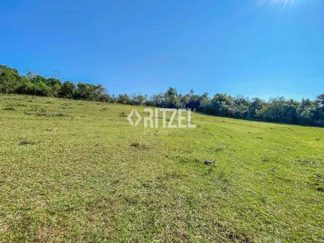 Terreno / Lote para Venda em Sapiranga/RS Floresta