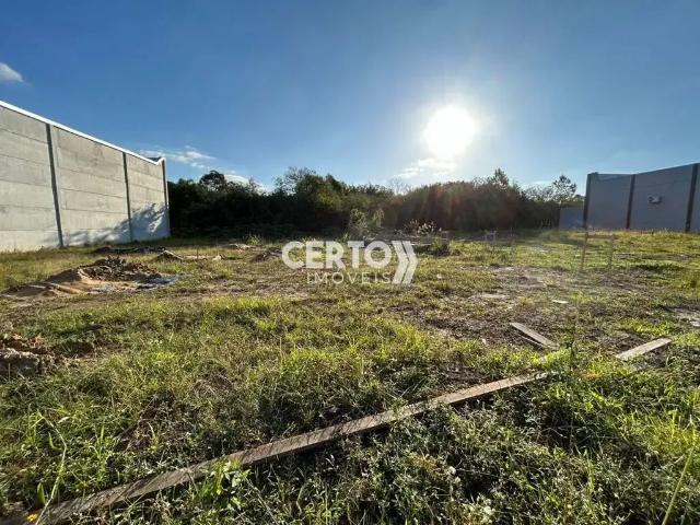 Terreno / Lote para Venda em Sapiranga/RS Floresta
