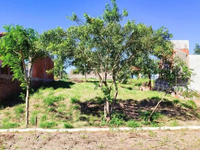 Terreno / Lote para Venda em Sapiranga/RS Horizonte
