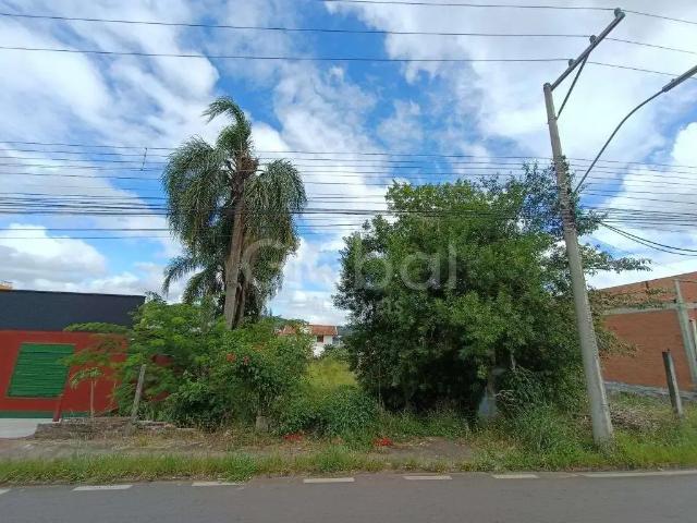 Terreno / Lote para Venda em Sapiranga/RS Oeste