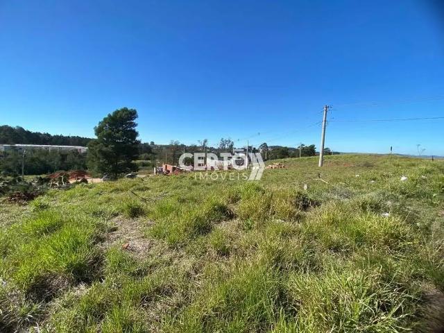 Terreno / Lote para Venda em Sapiranga/RS São Jacó