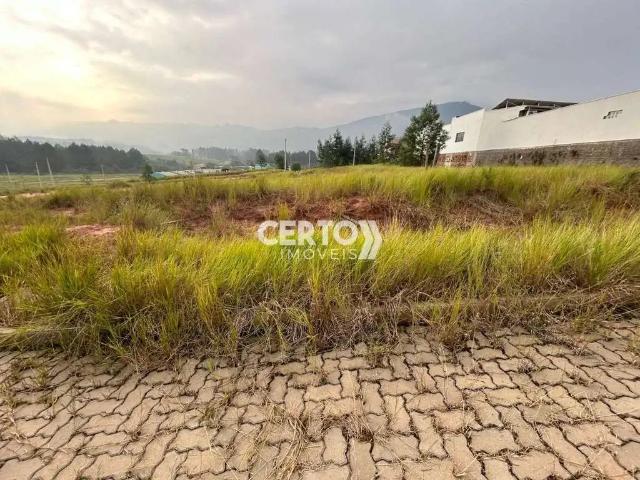 Terreno / Lote para Venda em Sapiranga/RS São Jacó