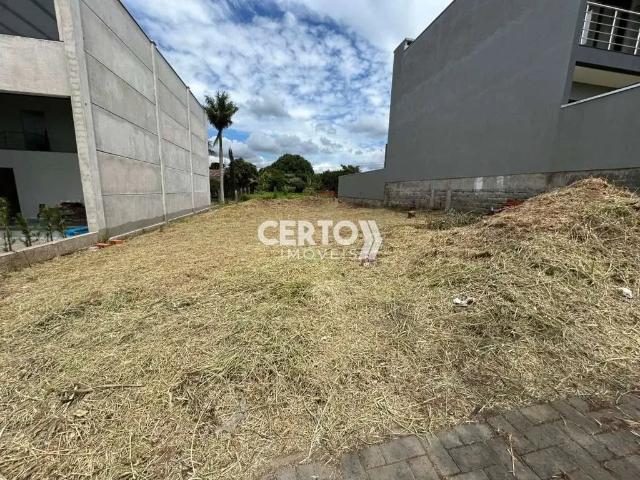 Terreno / Lote para Venda em Sapiranga/RS São Jacó