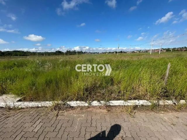 Terreno / Lote para Venda em Sapiranga/RS São Luiz