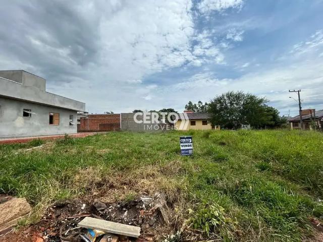 Terreno / Lote para Venda em Sapiranga/RS São Luiz