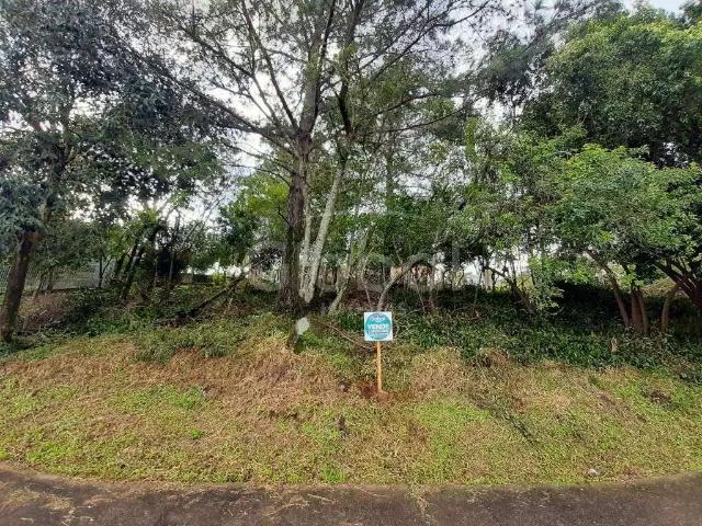 Terreno / Lote para Venda em Sapiranga/RS Santa Fé