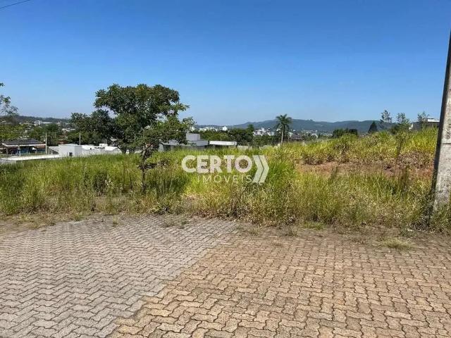 Terreno / Lote para Venda em Sapiranga/RS Sete de Setembro