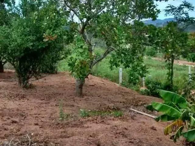 Terreno / Lote para Venda em Saquarema/RJ Bicuíba Bacaxá