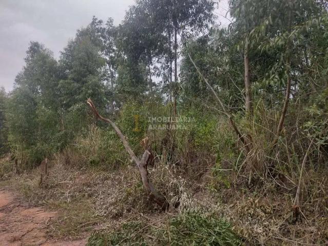 Terreno / Lote para Venda em Saquarema/RJ Jardim Ipitangas