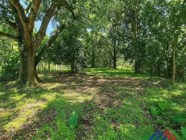 Terreno / Lote para Venda em Saquarema/RJ Serra de Mato Grosso Sampaio Correia