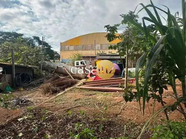 Terreno / Lote para Venda em Sarzedo/MG Centro