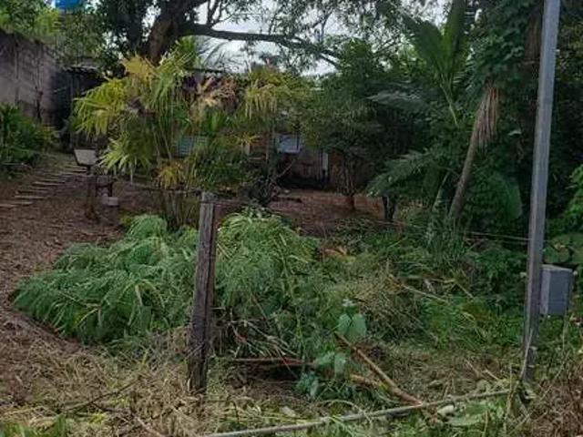 Terreno / Lote para Venda em Sarzedo/MG Brasília