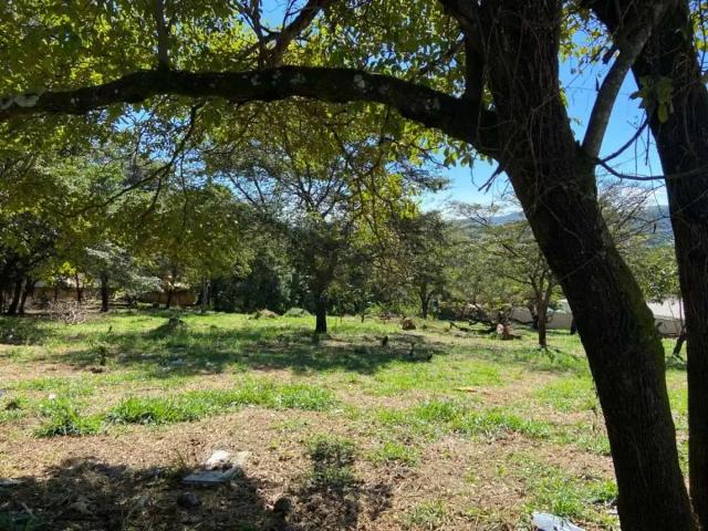 Terreno / Lote para Venda em Sarzedo/MG Jardim Anchieta 1 Quartos