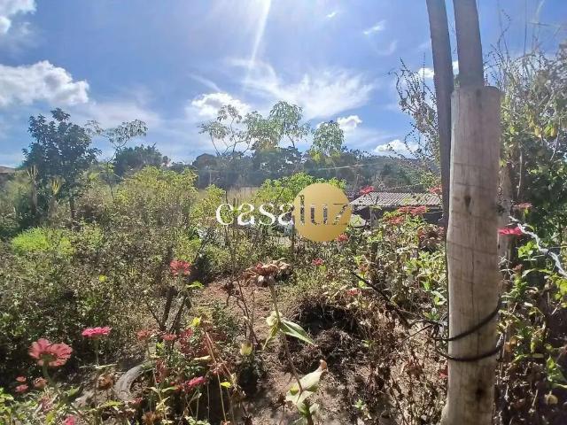 Terreno / Lote para Venda em Sarzedo/MG Manoel Pinheiro