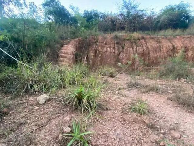 Terreno / Lote para Venda em Sarzedo/MG Santo Antônio