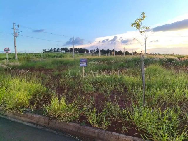 Terreno / Lote para Venda em Sarandi/PR Ecovalley Ecologic City