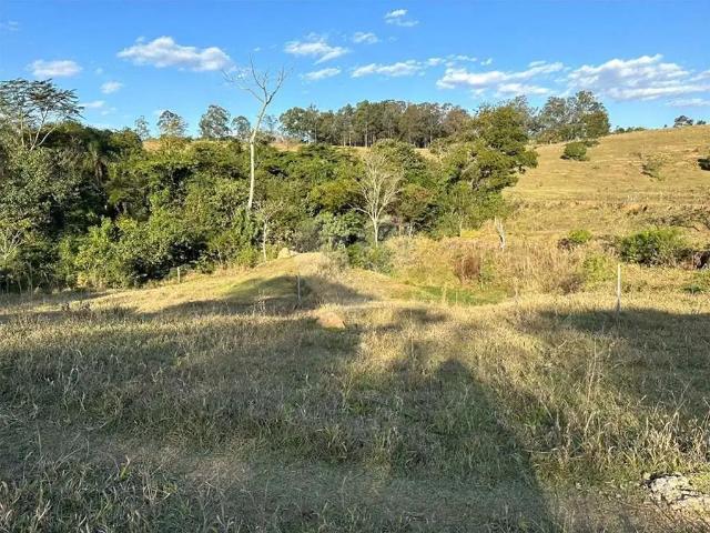 Terreno / Lote para Venda em Sarandi/PR Jardim Centro Civico