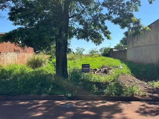 Terreno / Lote para Venda em Sarandi/PR Jardim das Torres