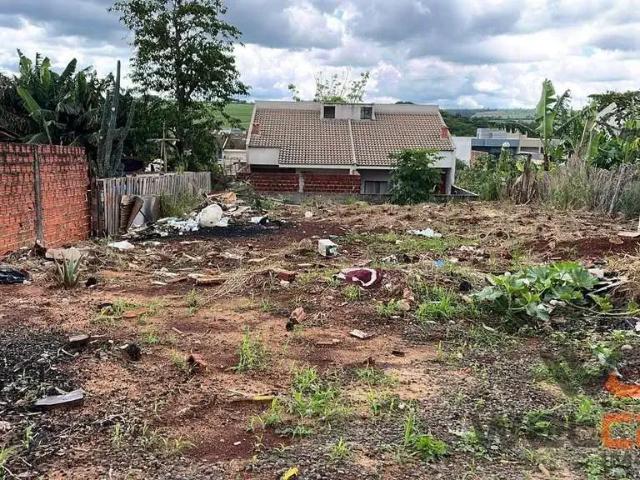 Terreno / Lote para Venda em Sarandi/PR Jardim Universal