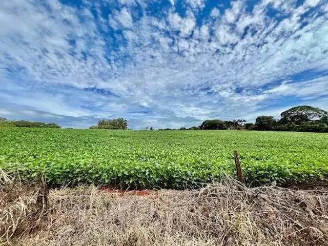 Terreno / Lote para Venda em Sarandi/PR Vale Azul