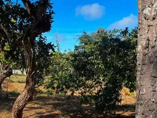 Terreno / Lote para Venda em Senador Canedo/GO Condomínio Ecológico Mansões Morumbi