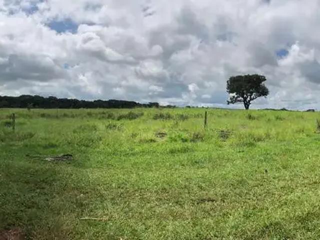 Terreno / Lote para Venda em Senador Canedo/GO Estância Vargem Bonita