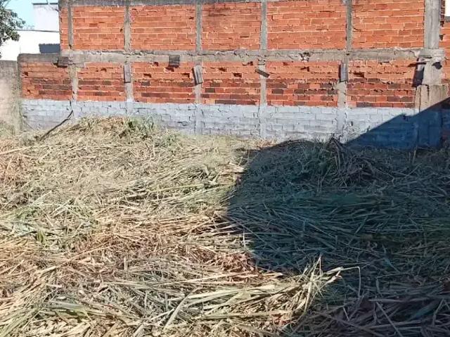 Terreno / Lote para Venda em Senador Canedo/GO Residencial Morada do Bosque