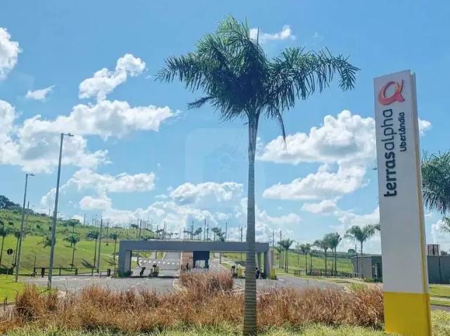 Terreno / Lote para Venda em Senador Canedo/GO Terras Alpha Residencial 1
