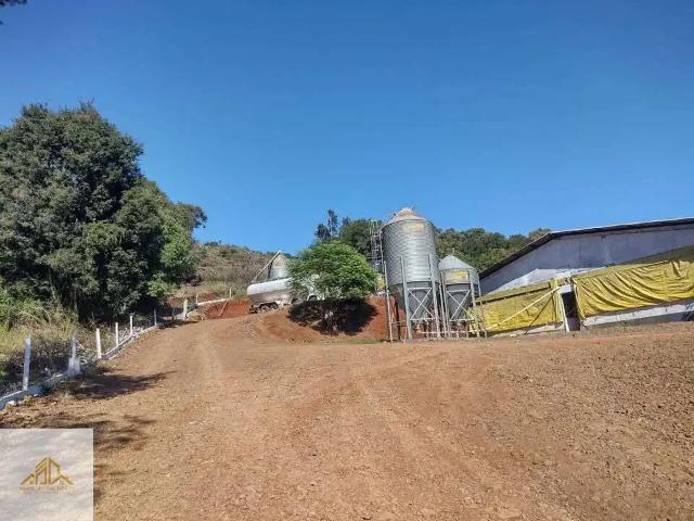 Terreno / Lote para Venda em Seara/SC Centro