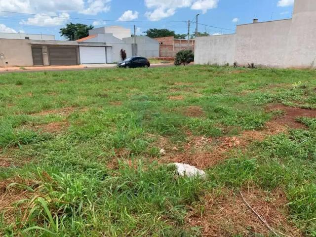 Terreno / Lote para Venda em Sertãozinho/SP Jardim Veneto II