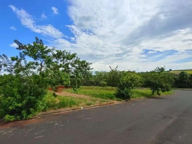 Terreno / Lote para Venda em Sertãozinho/SP Jardim das Araucárias