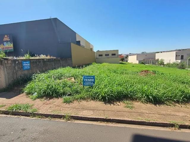 Terreno / Lote para Venda em Sertãozinho/SP Jardim Lopes da Silva