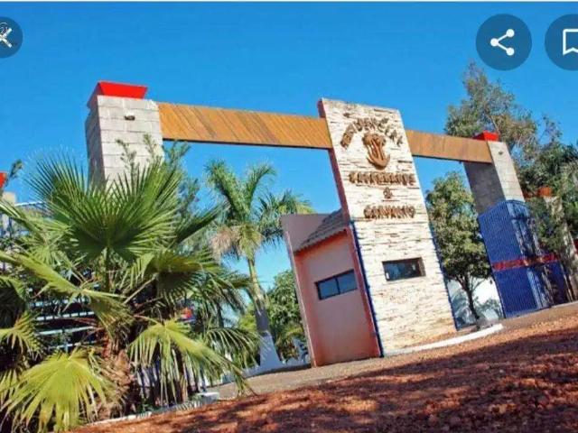Terreno / Lote para Venda em Sertaneja/PR Centro