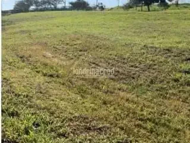 Terreno / Lote para Venda em Sertanópolis/PR Zona Rural
