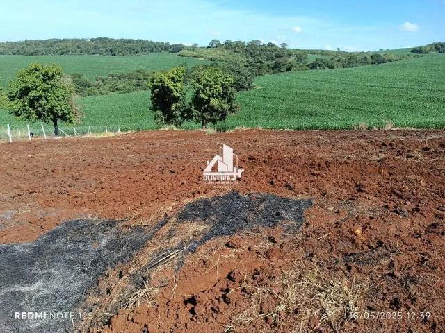 Terreno / Lote para Venda em Sertanópolis/PR Centro