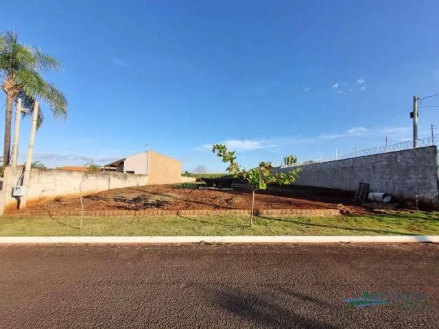 Terreno / Lote para Venda em Sertanópolis/PR Centro
