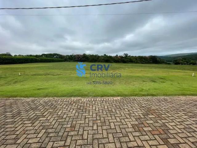 Terreno / Lote para Venda em Sertanópolis/PR Centro