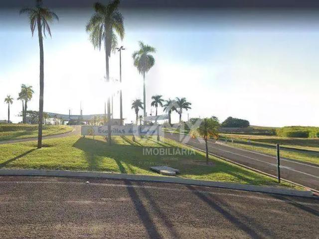 Terreno / Lote para Venda em Sertanópolis/PR Centro