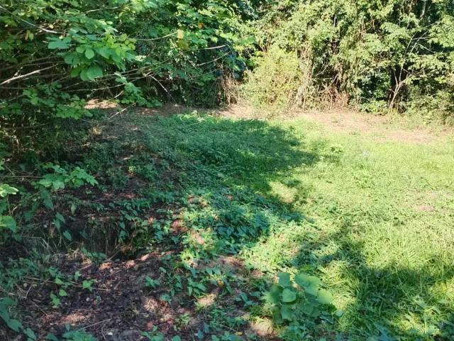 Terreno / Lote para Venda em Seropédica/RJ Campo Lindo