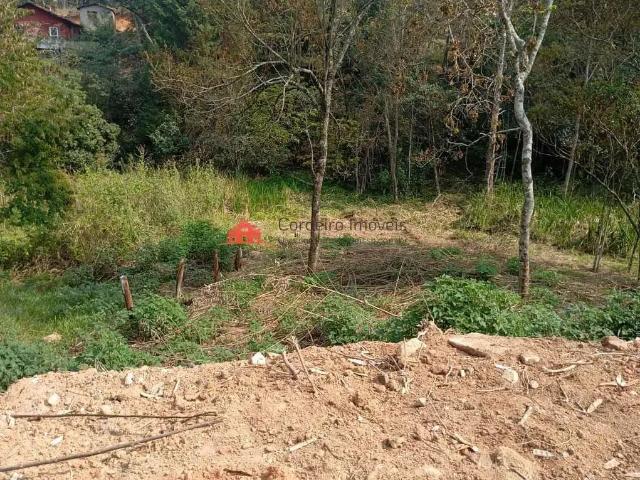 Terreno / Lote para Venda em Serra Negra/SP Jardim Belvedere do Lago