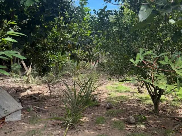 Terreno / Lote para Venda em Serra/ES Manguinhos