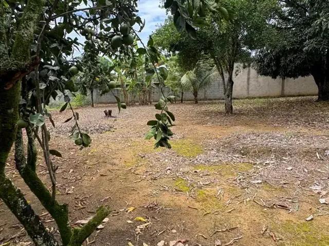 Terreno / Lote para Venda em Serra/ES Cidade Nova da Serra
