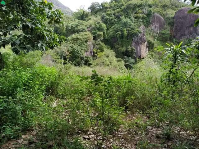 Terreno / Lote para Venda em Serra/ES Santo Antônio