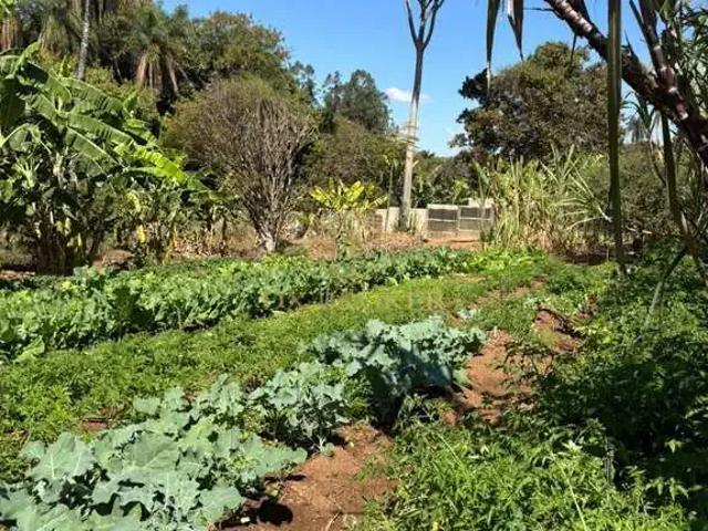 Terreno / Lote para Venda em Sete Lagoas/MG Manoa