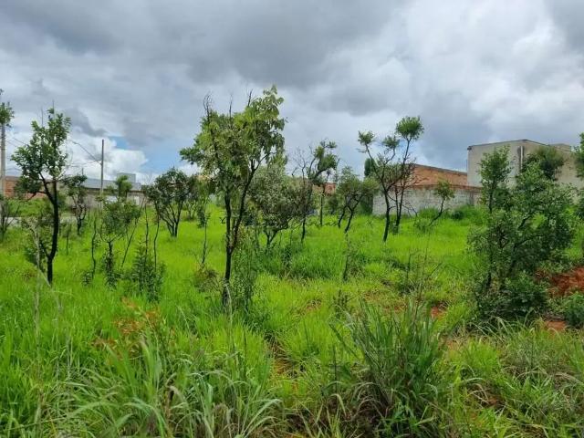 Terreno / Lote para Venda em Sete Lagoas/MG Boa Esperança